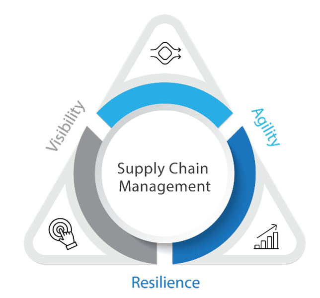 Building Resilient Supply Chain Networks Through Digital Innovation