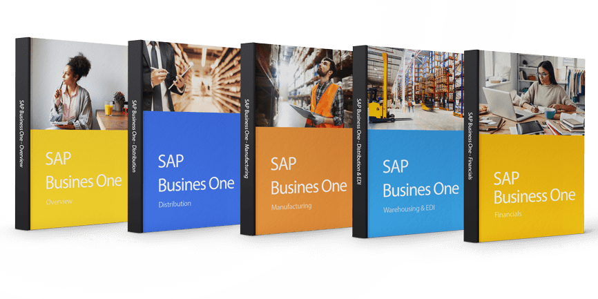 SAP Business One Bundle Pack With Case Studies - Five eBooks in One